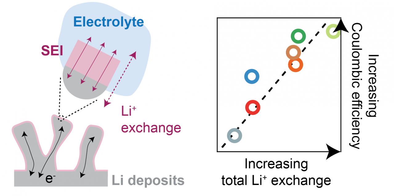 Beneficial vs. Inhibiting Passivation by the Native Lithium Solid ...